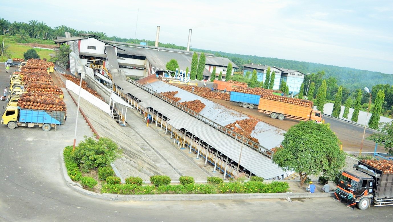 Palm Oil Mills Anglo Eastern Plantations PLC palm-oil-mills-anglo-eastern-plantations-plc